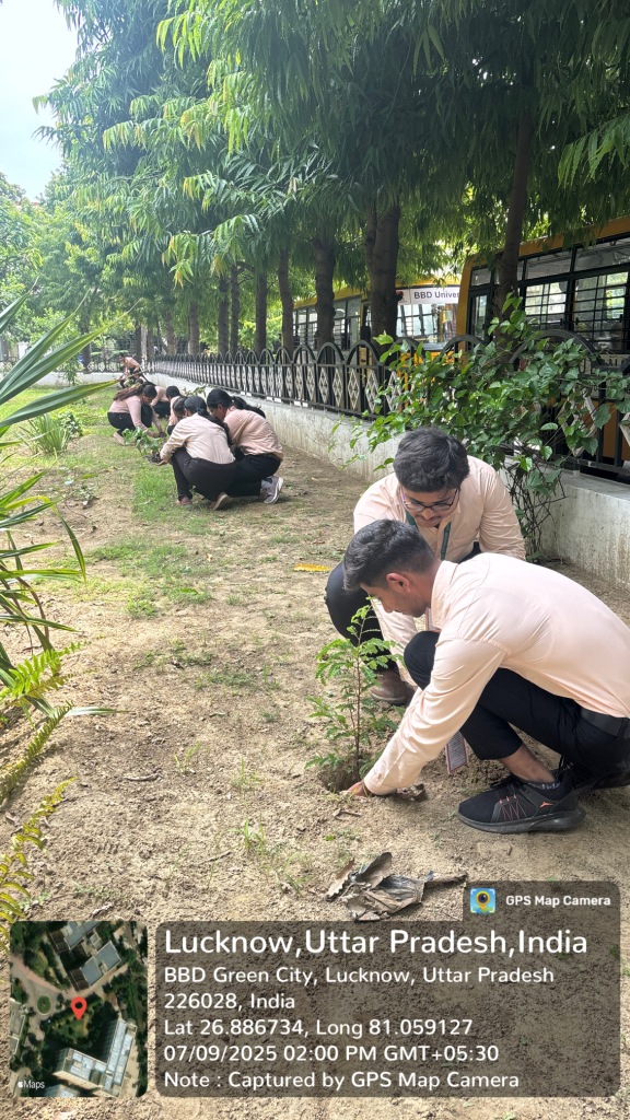 Tree Plantation 2025